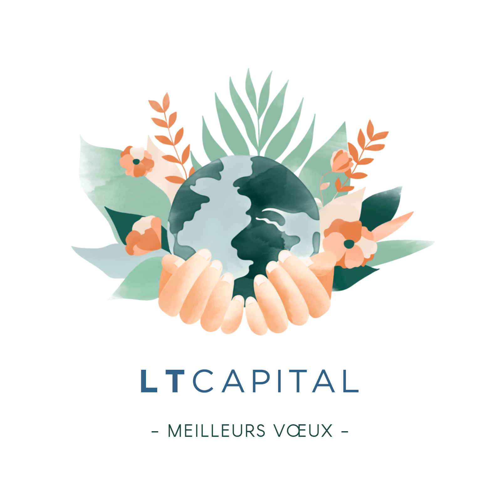 Toute l'équipe LT Capital vous souhaite une très belle année 2026 ...